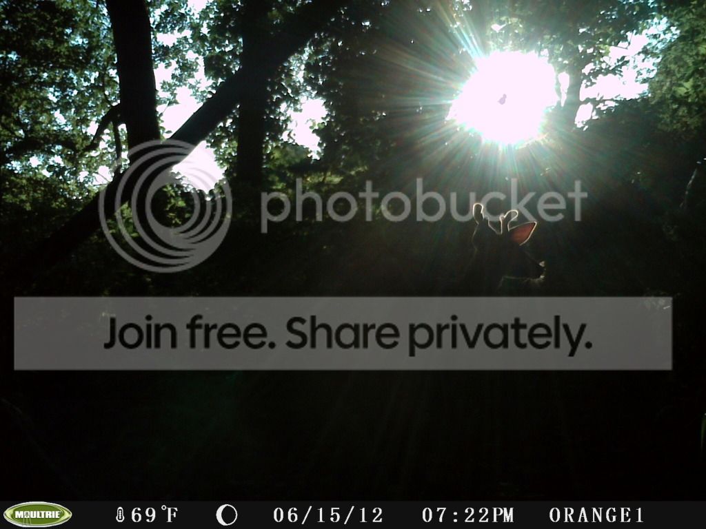 Beautiful pic | Archery Talk Forum
